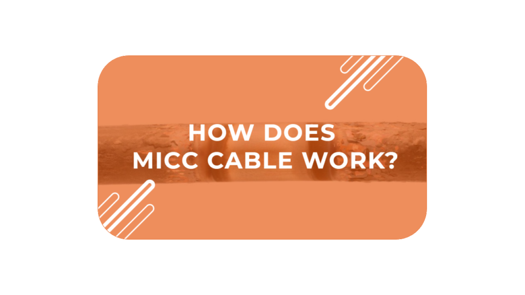 FREE MICC Cable Sample for Educational Institutes